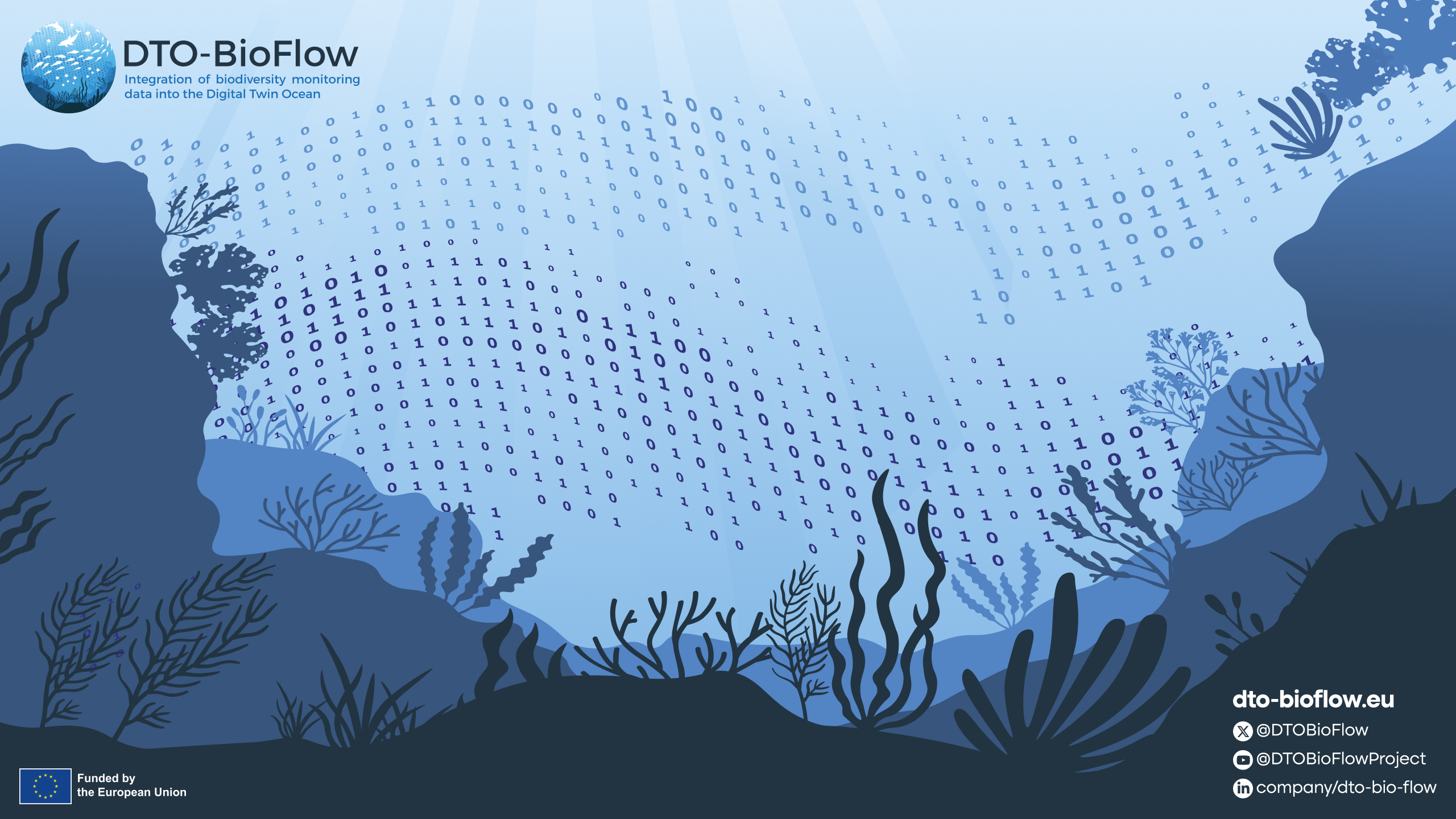 Communication kit | DTO-BIOFLOW